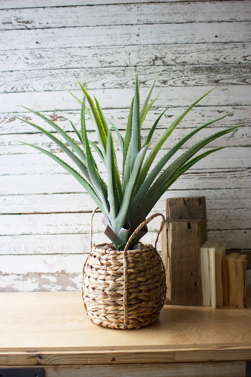 Kalalou Faux Aloe in Seagrass Pot – Bailey Road